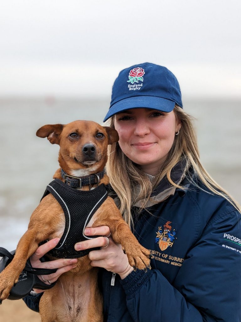 The Team - Linkswood Equine Vets