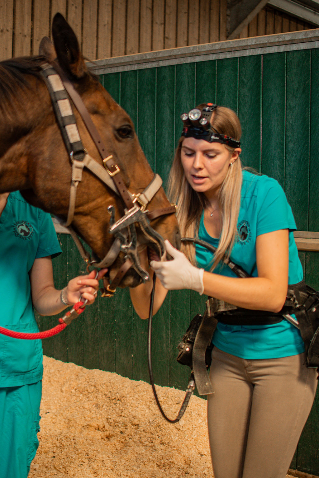 Contact Us - Linkswood Equine Vets