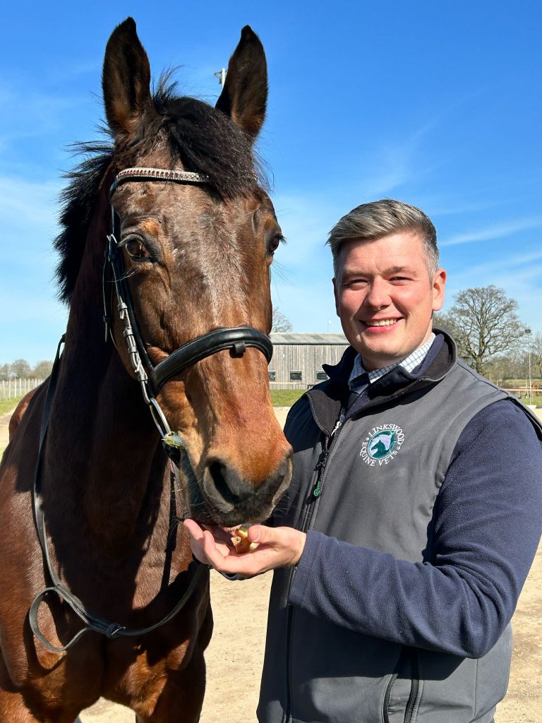 The Team - Linkswood Equine Vets
